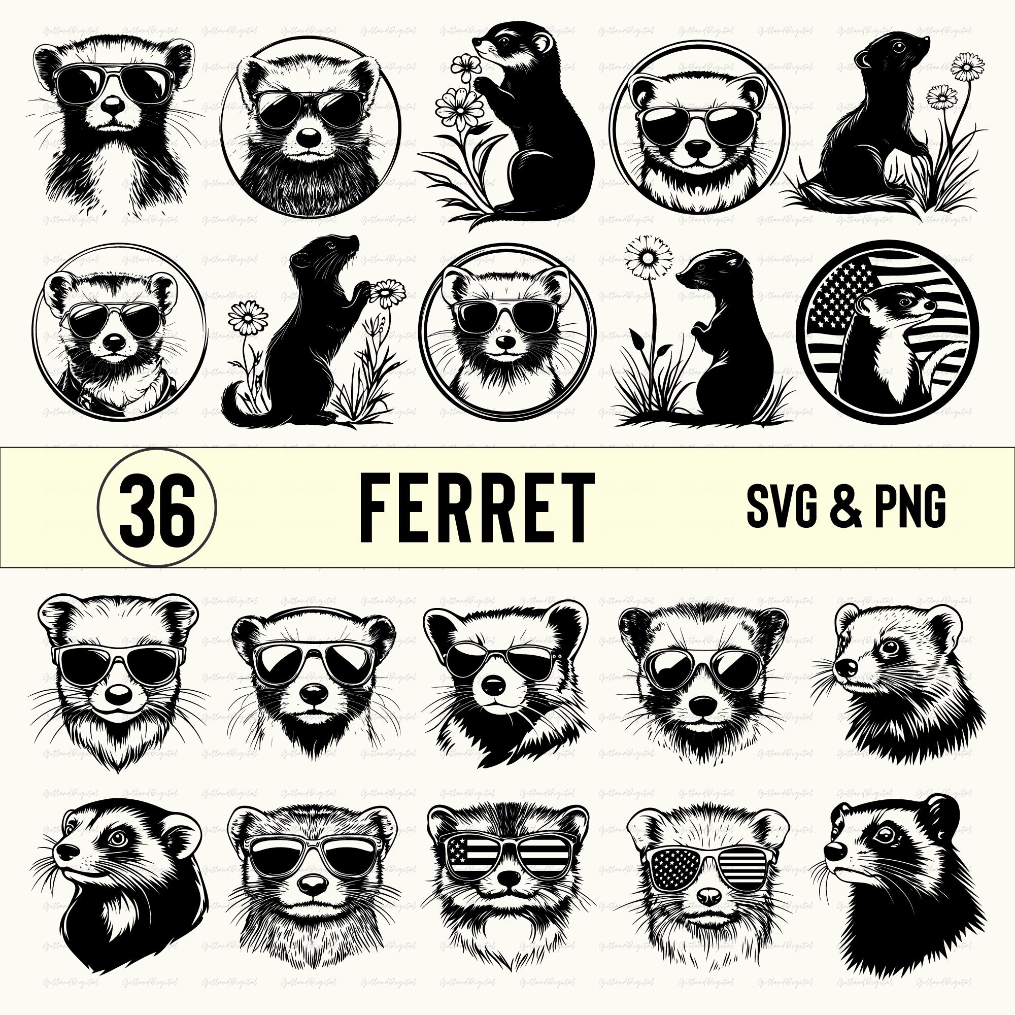 Ferret Clipart: Silhouette Vector Cut Files (SVG, PNG) - Etsy