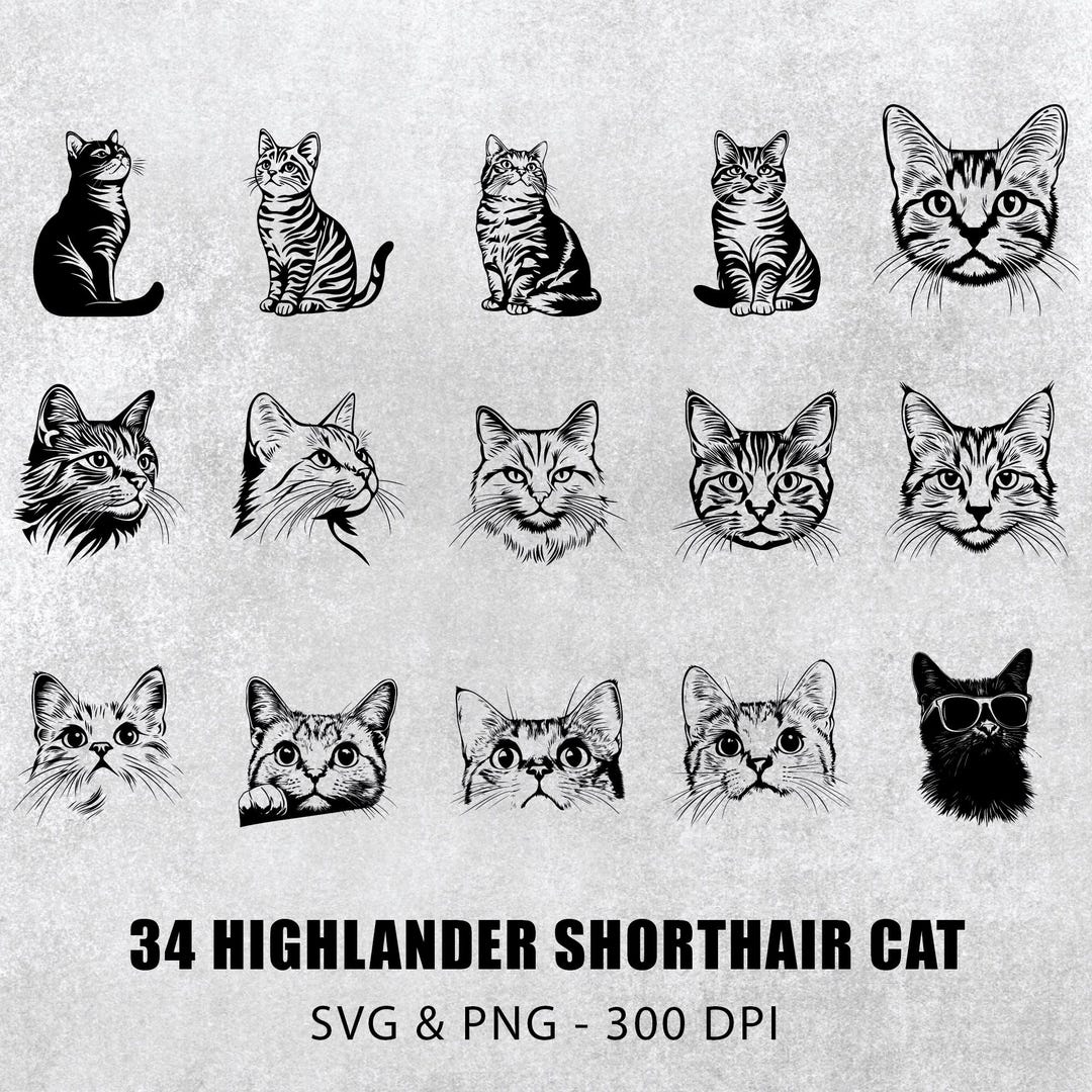 Highlander Shorthair Cat Svg Png Bundle, Highlander Shorthair Cat ...