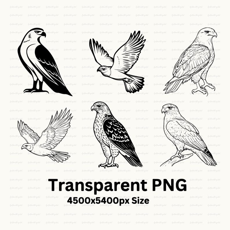 Hawk Svg Bundle, Hawk Silhouette, Hawk Clipart, Hawk Vector, Hawk Decal ...