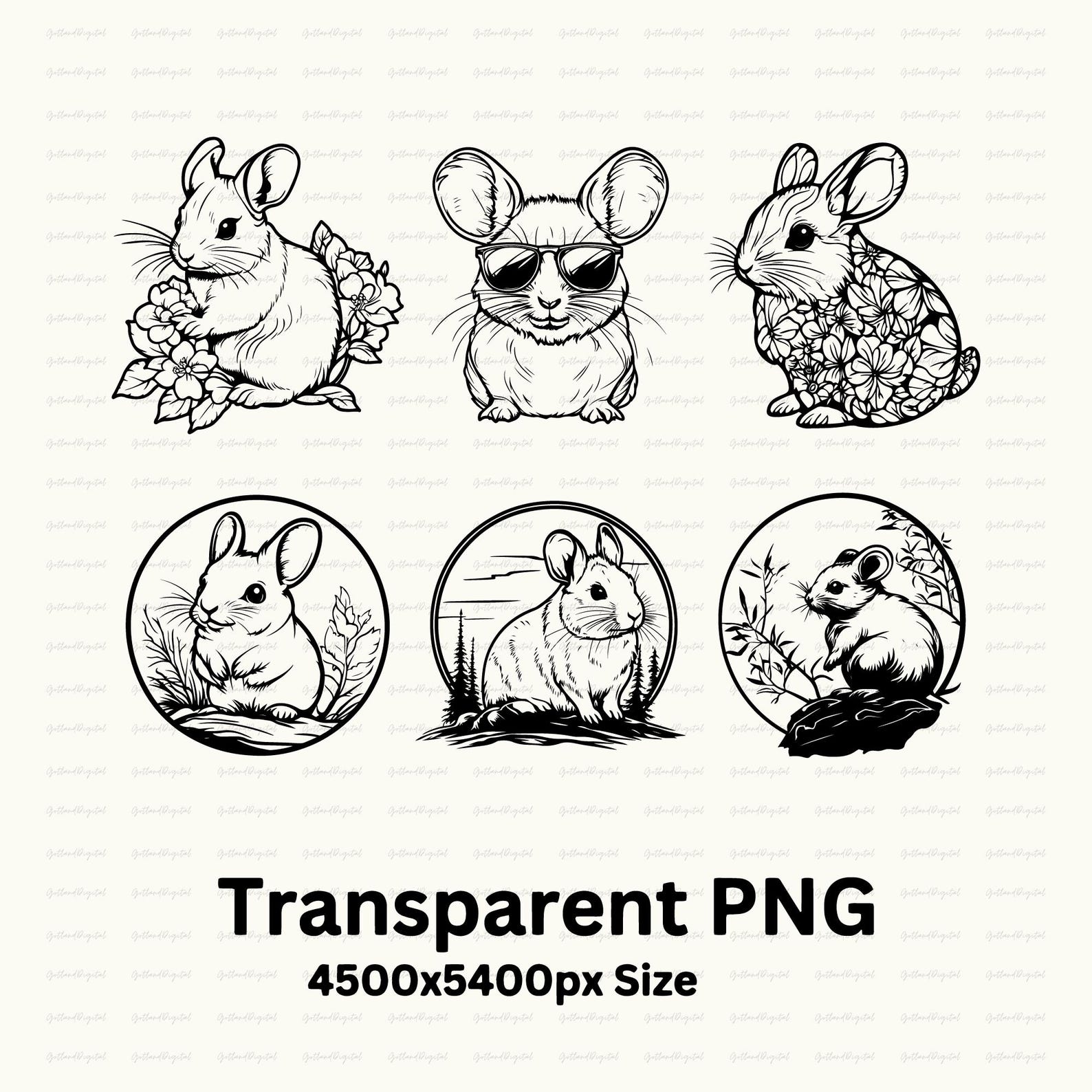 Chinchilla SVG PNG Clipart: Silhouette Vector Cut File - Etsy