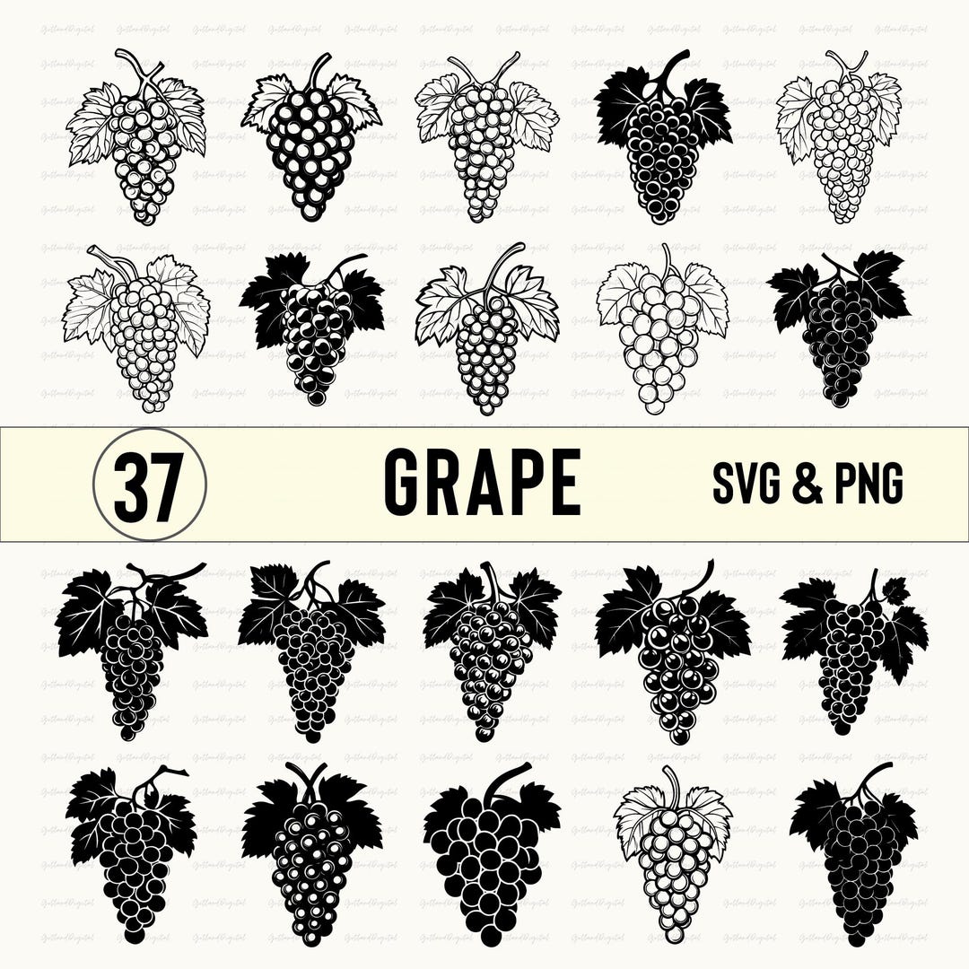 Grape Svg Bundle, Grape Silhouette Png, Grape Clipart, Grape Vector ...
