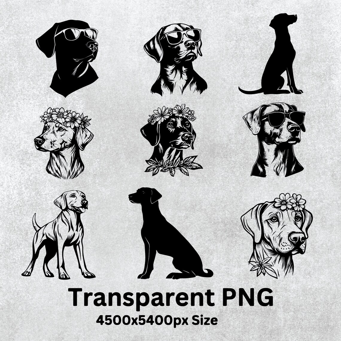 Plott Hound SVG Bundle: Silhouette Clipart Vector (PNG, 300 DPI) - Etsy