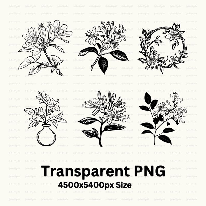 Honeysuckle Svg Png, Honeysuckle Silhouette, Honeysuckle Clipart ...