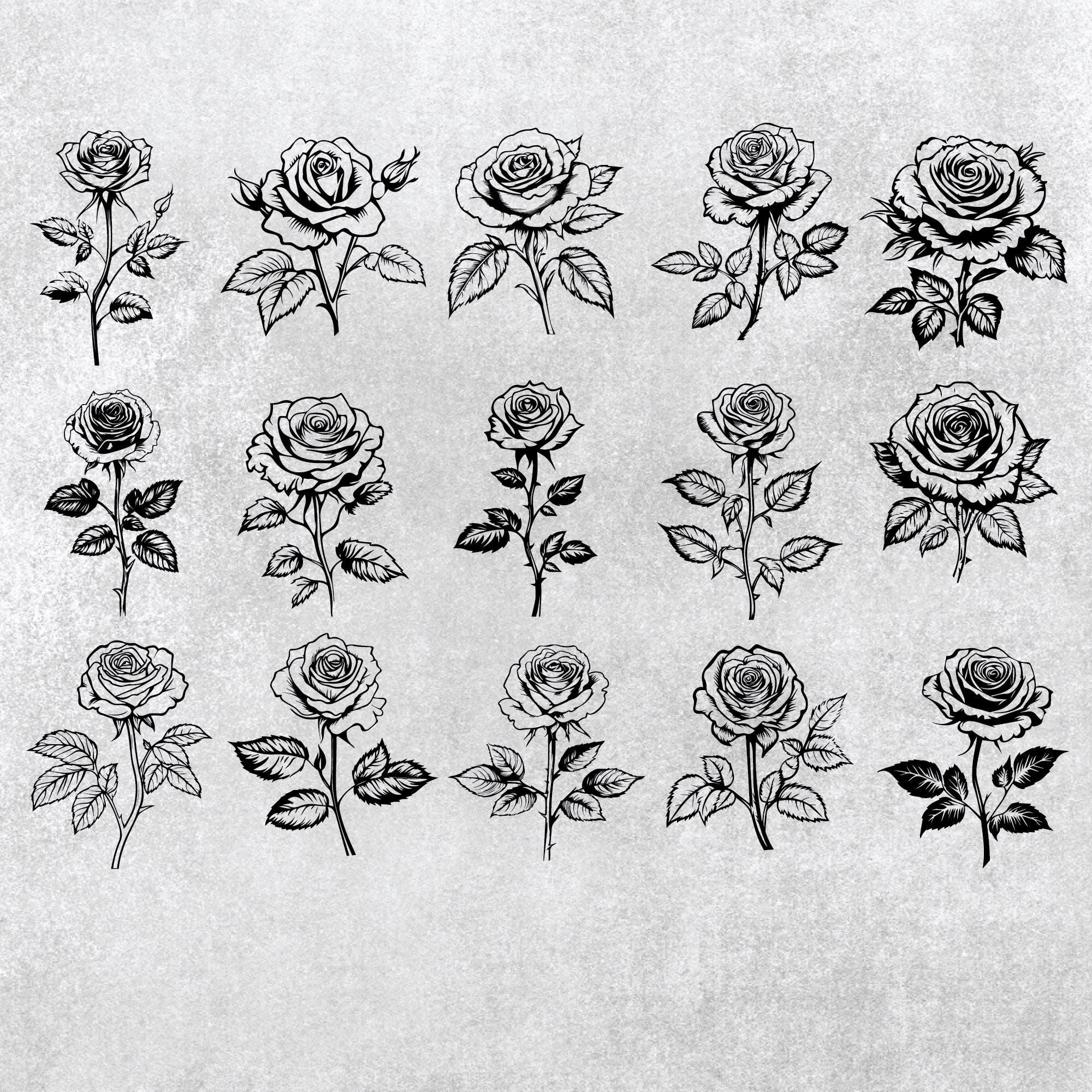 Rose SVG Bundle: Silhouette Clipart, Decal Designs (PNG, 300 DPI) - Etsy