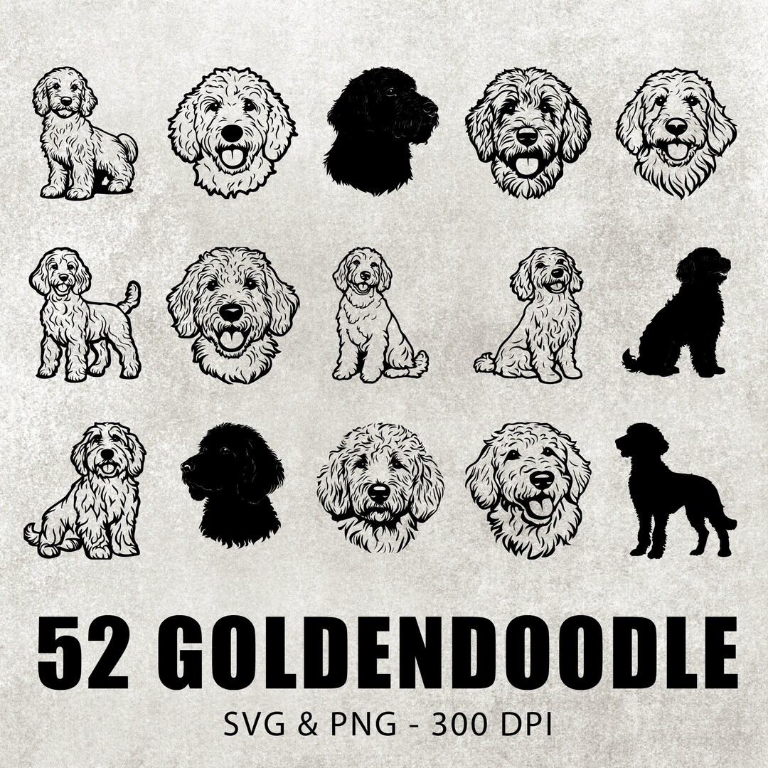 Goldendoodle Silhouette Bundle: Vector Clipart, Cricut Cut File (SVG ...