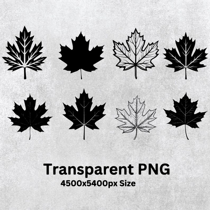 Maple Leaf SVG Bundle: Vector Clipart, Cricut Cut Files - Etsy