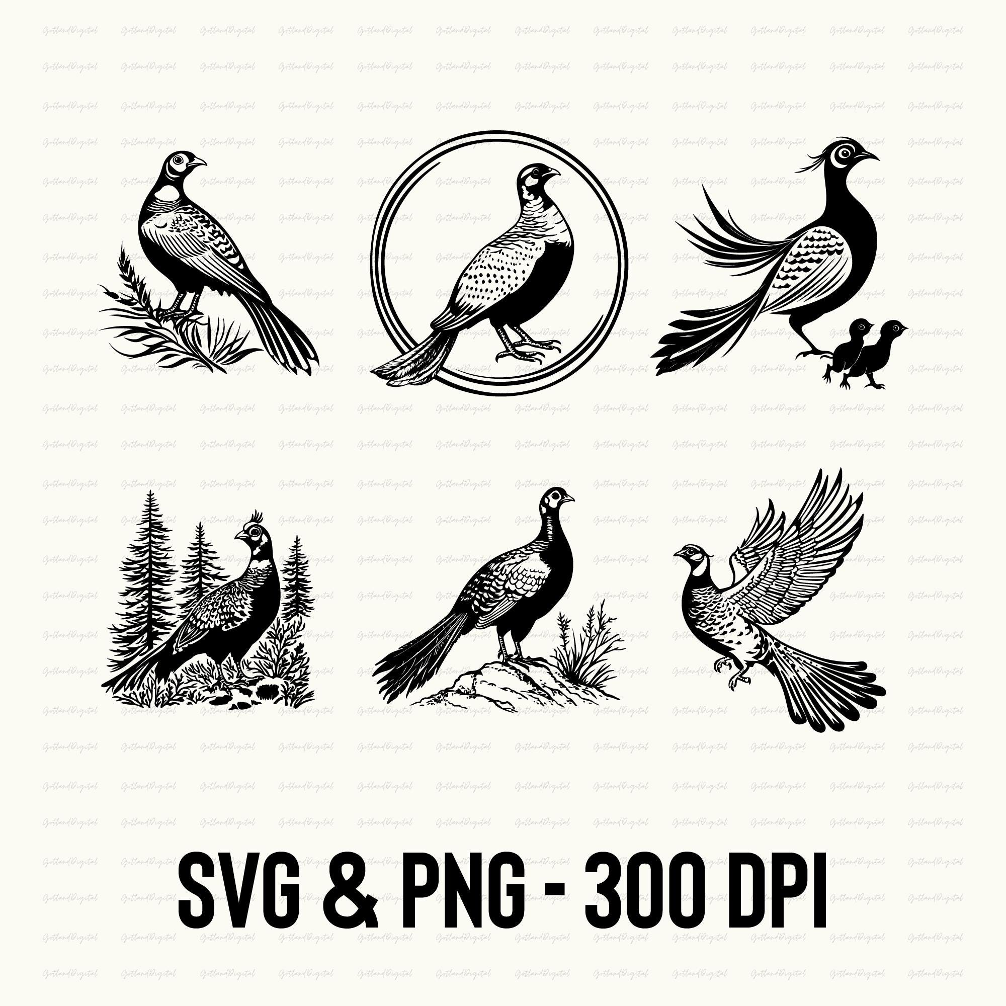 Pheasant Svg Png, Pheasant Clipart, Pheasant Silhouette, Pheasant ...