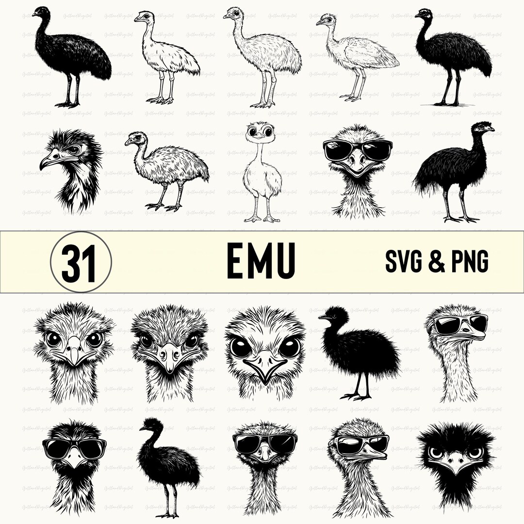 Emu SVG Bundle: Silhouette Clipart Vector Designs (PNG, SVG) - Etsy