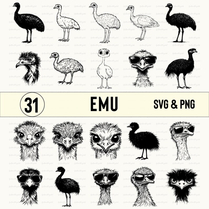 Emu SVG Bundle: Silhouette Clipart Vector Designs (PNG, SVG) - Etsy