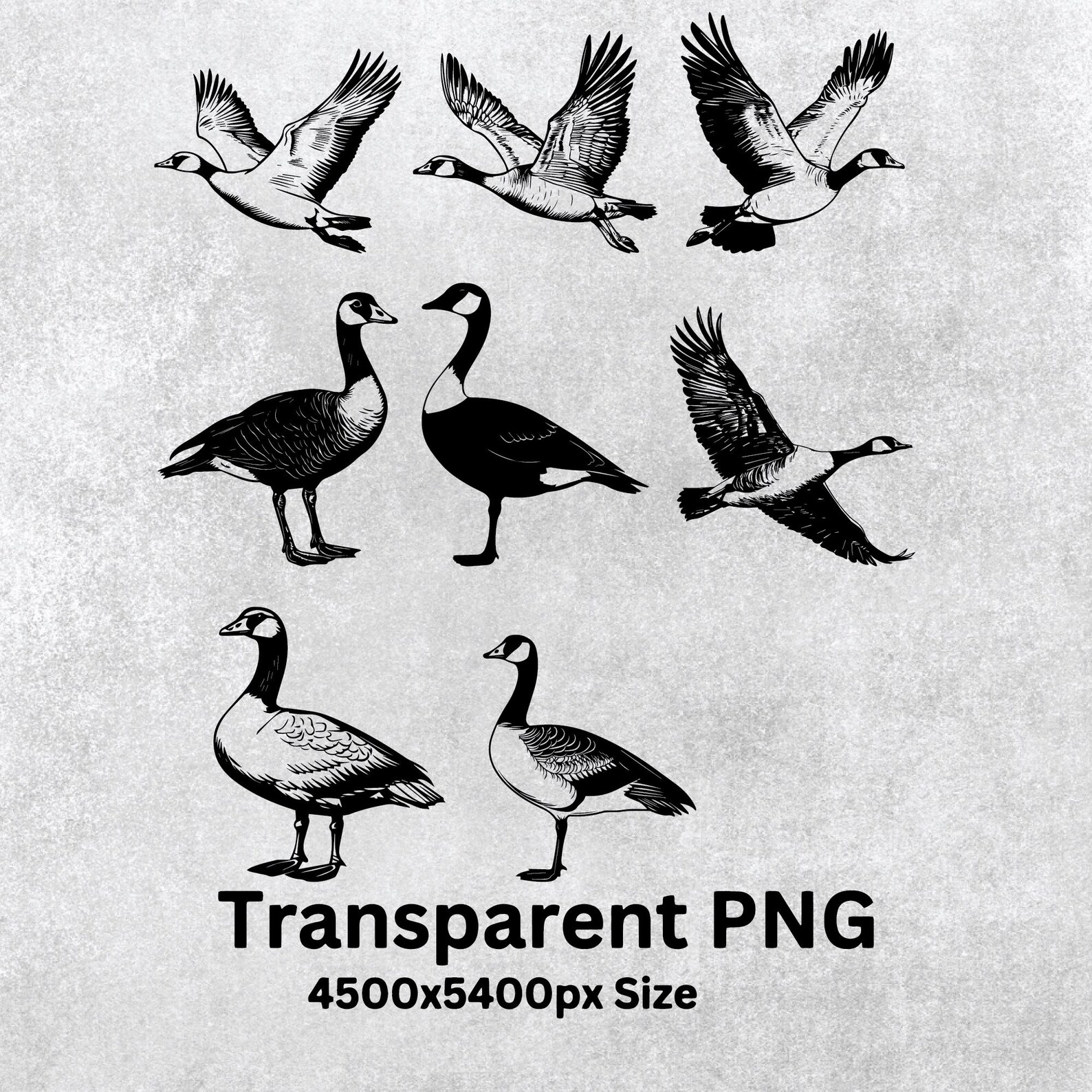 Canadian Goose Silhouette Bundle Svg, Canadian Goose Svg Vector Set ...