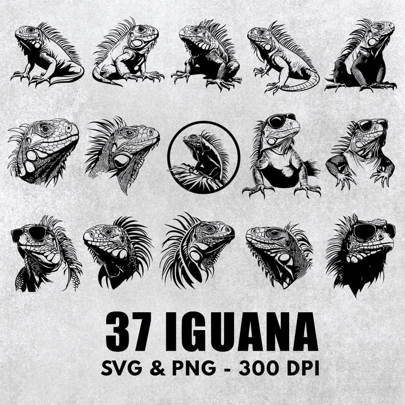 Iguana Silhouette SVG PNG Bundle: Reptile Clipart, Vector Graphics - Etsy
