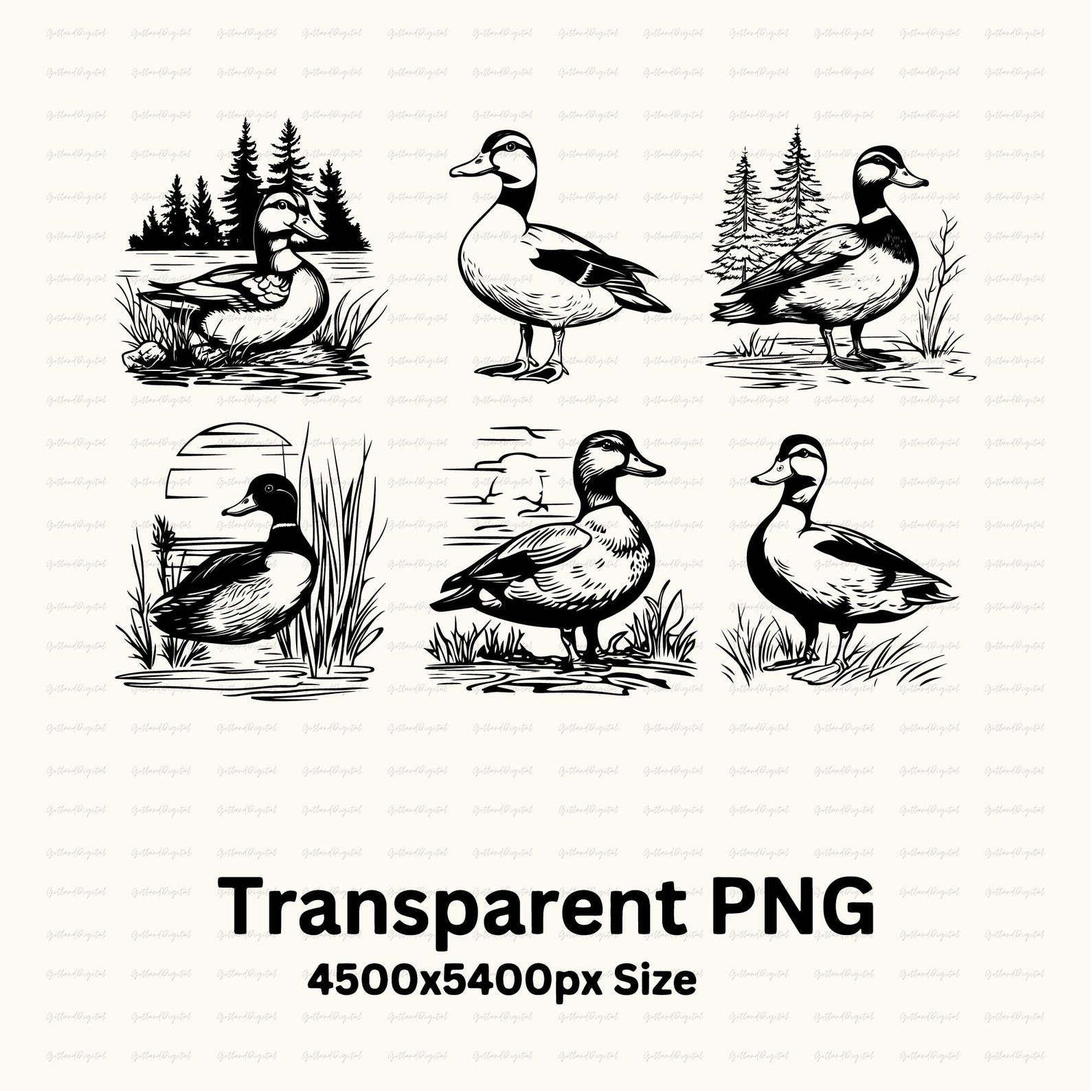 Mallard Duck SVG PNG Clipart: Vector Cut File Bundle - Etsy