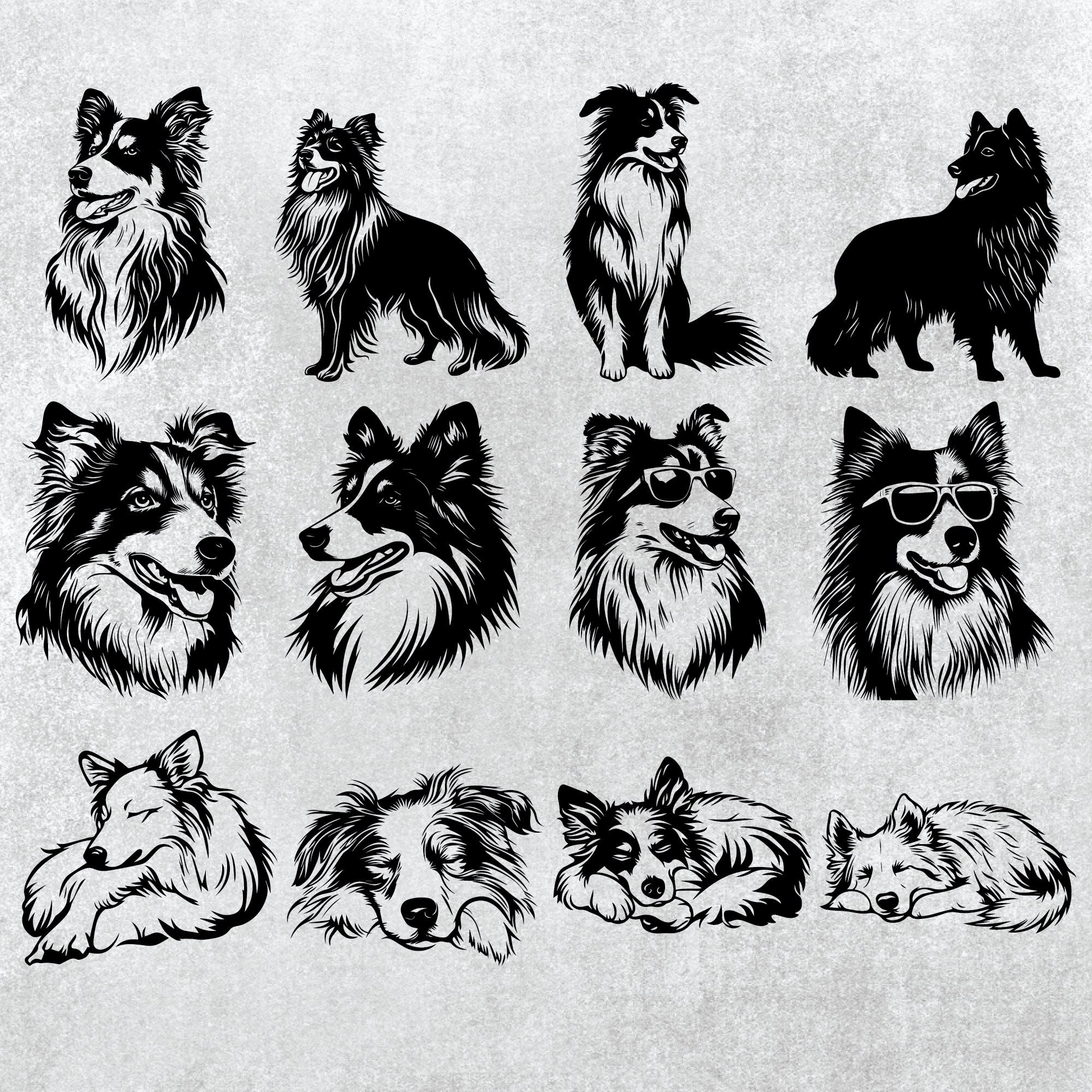 Rough Collie Silhouette Bundle, Rough Collie Vector, Rough Collie ...