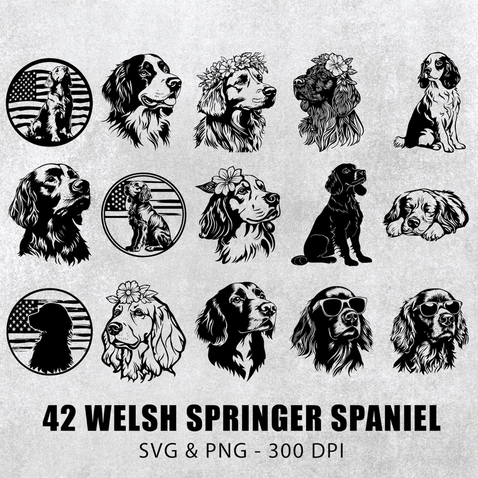 Welsh Springer Spaniel SVG Bundle, Clipart, Silhouette and Cricut Files ...