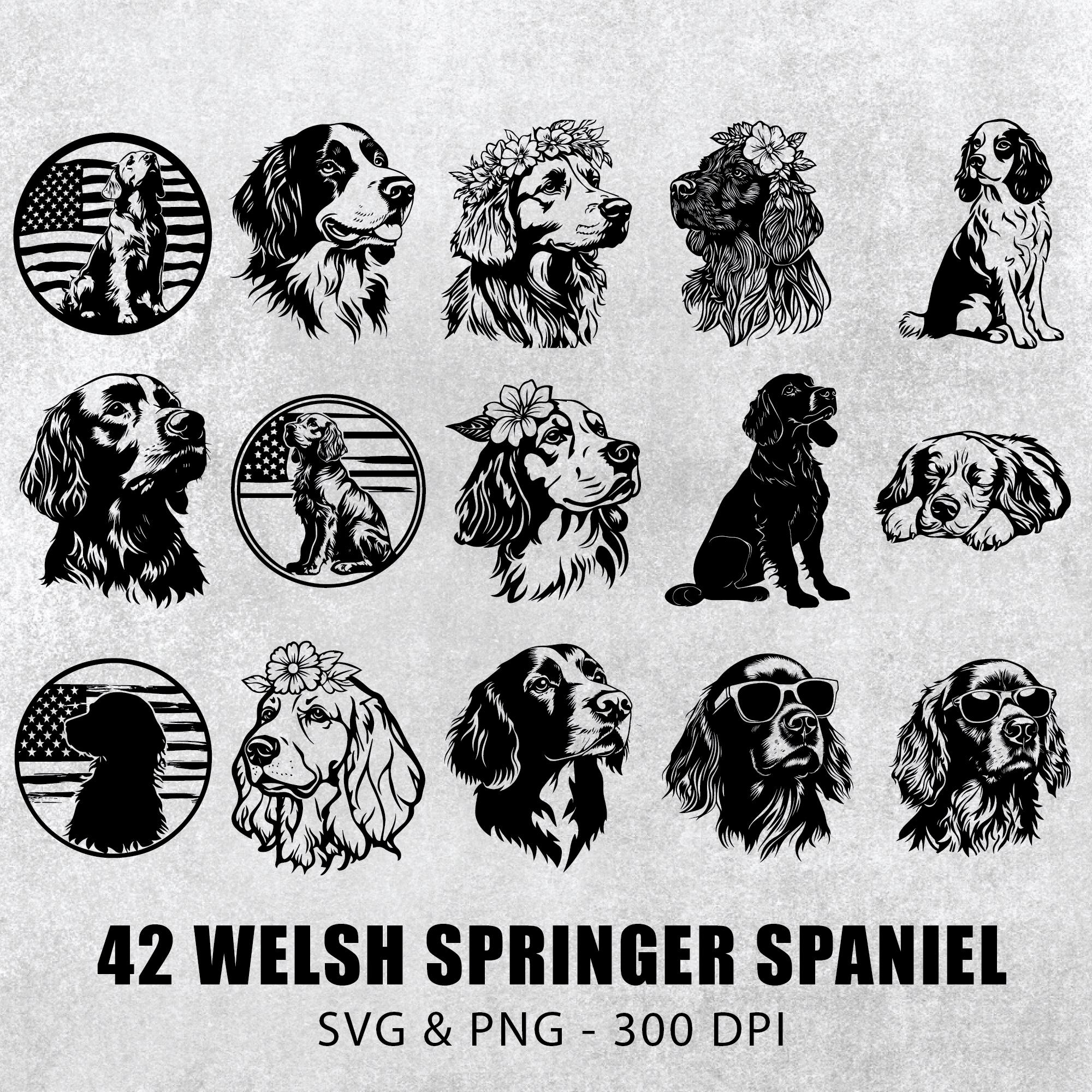 Welsh Springer Spaniel SVG Bundle, Clipart, Silhouette and Cricut Files ...
