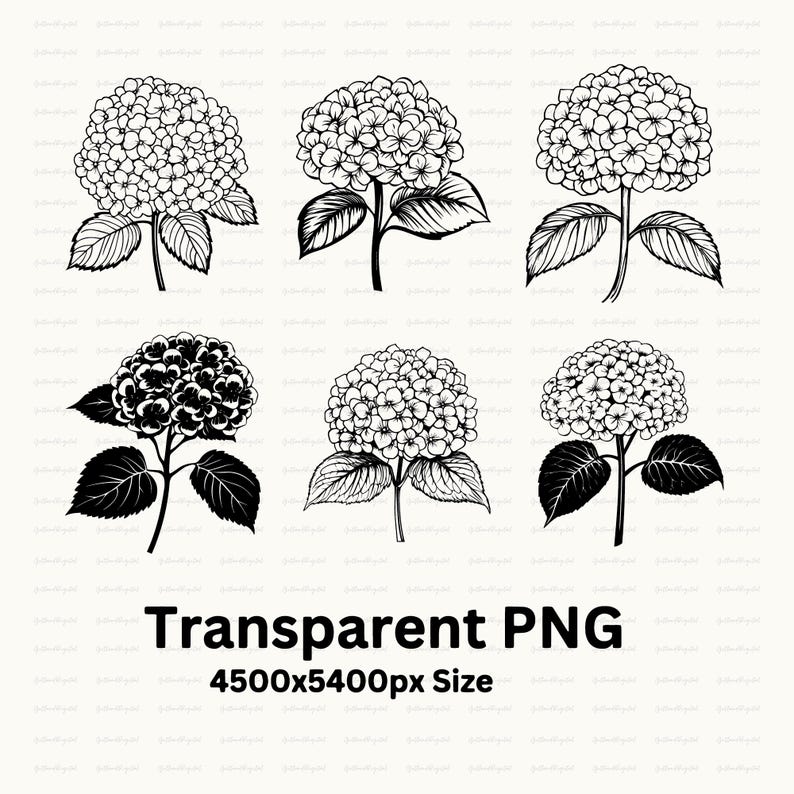 Hydrangea Svg Bundle, Hydrangea Silhouette, Hydrangea Clipart ...
