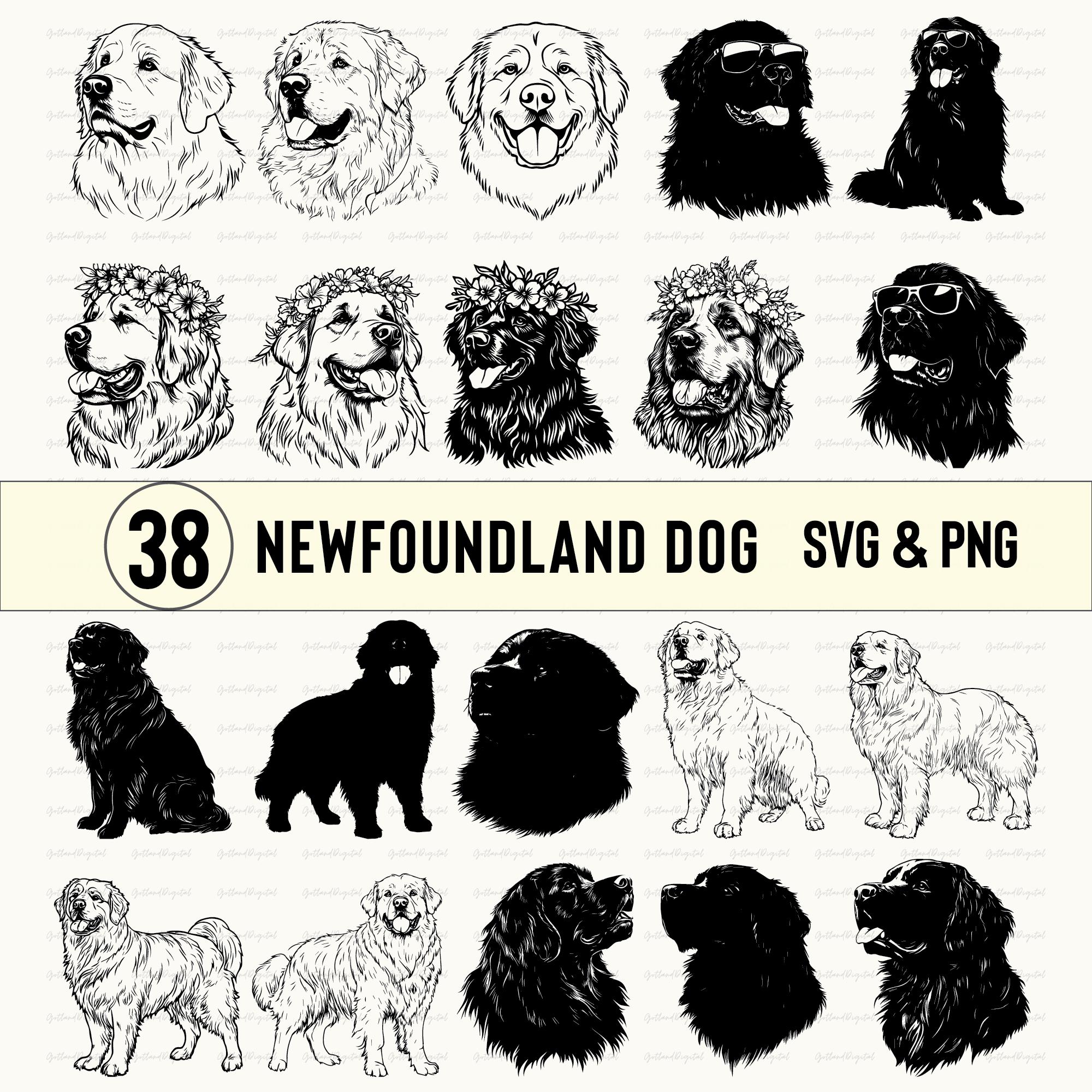 Newfoundland Dog Silhouette Bundle: SVG, PNG, Clipart (cut Files) - Etsy