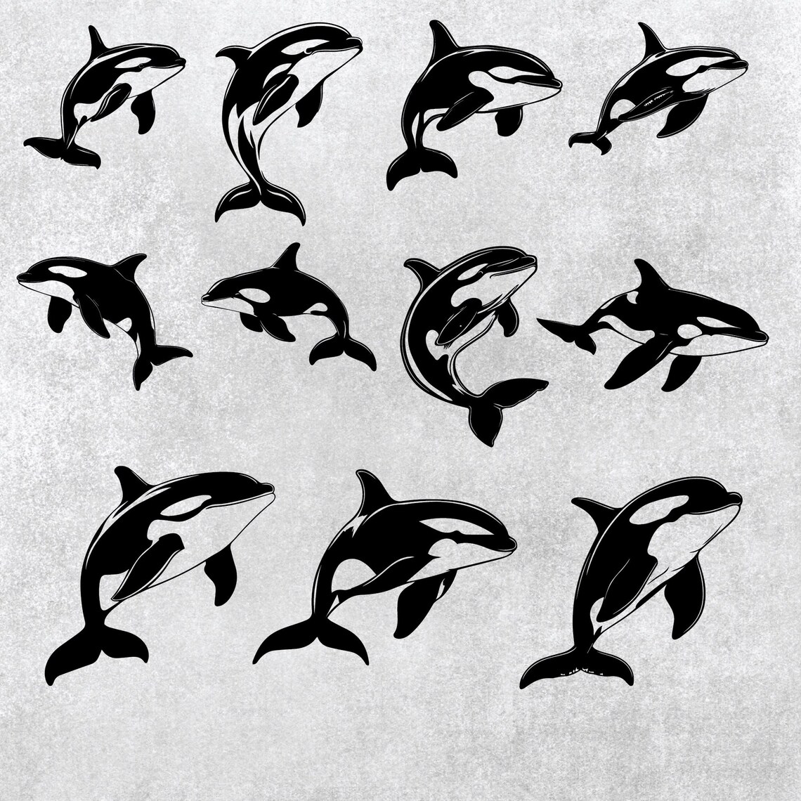 Orca Svg Bundle, Orca Vector Set, Orca Clipart, Orca Decal, Orca Art ...