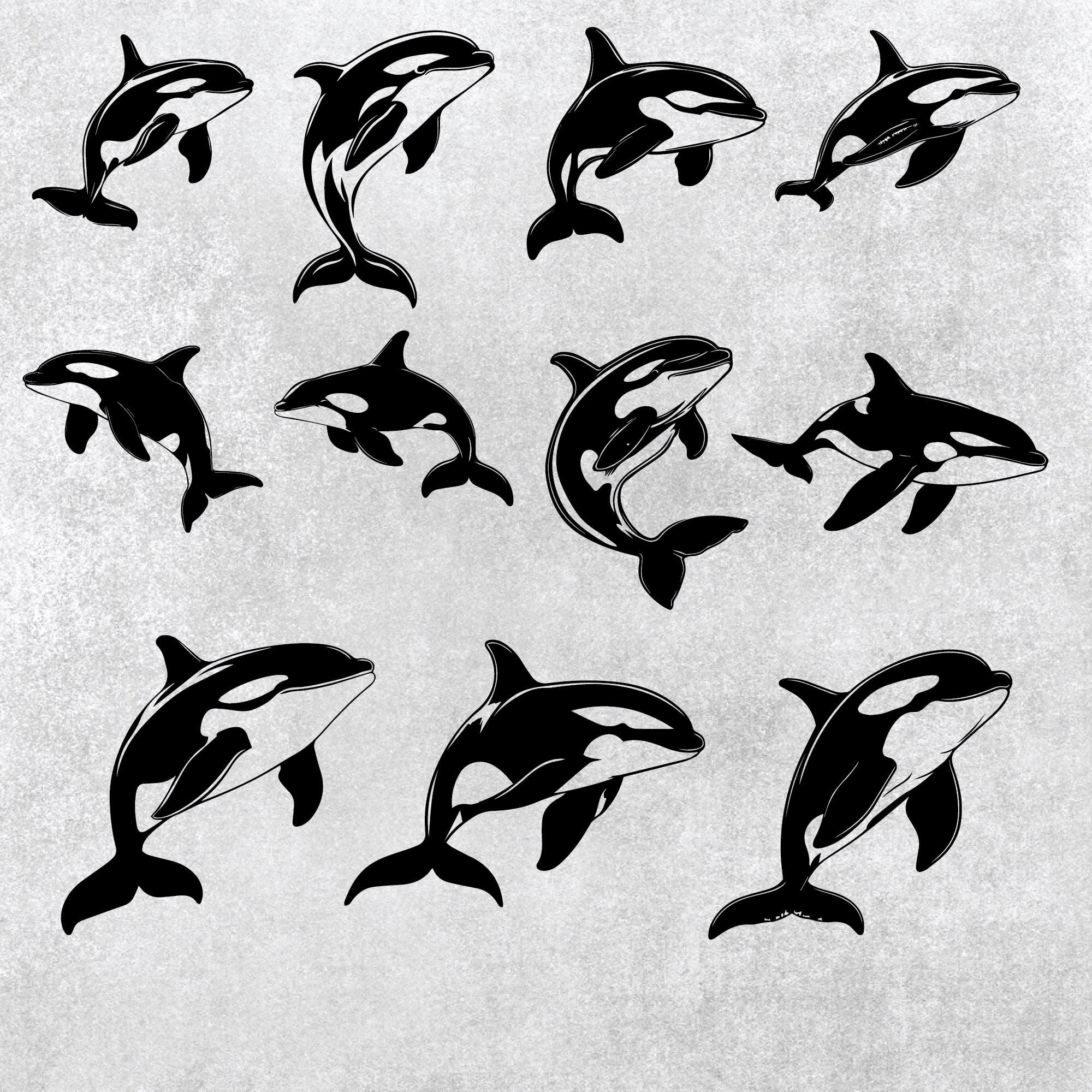 Orca Svg Bundle, Orca Vector Set, Orca Clipart, Orca Decal, Orca Art ...