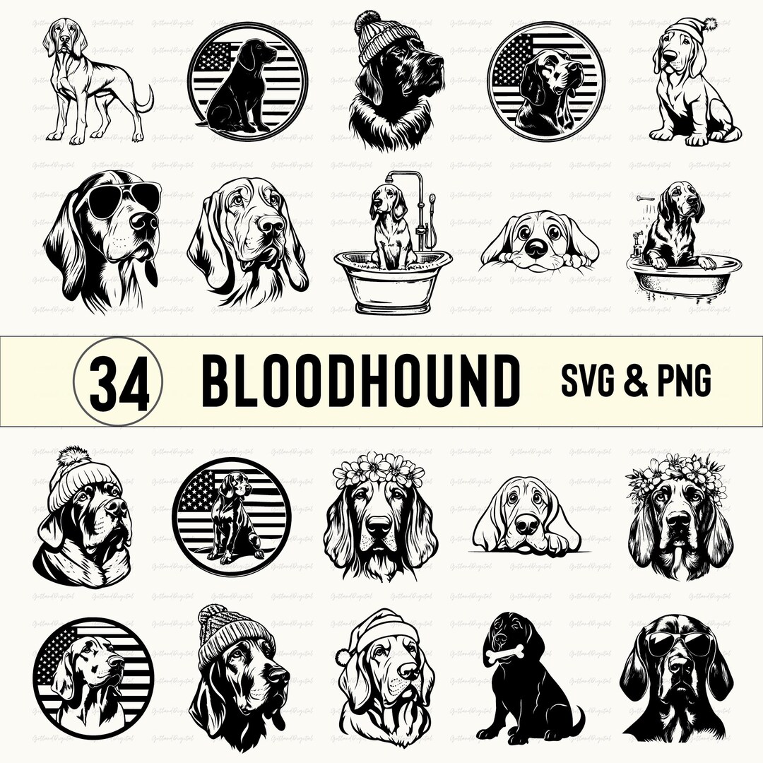 Bloodhound Svg Bundle, Bloodhound Silhouette, Bloodhound Clipart ...