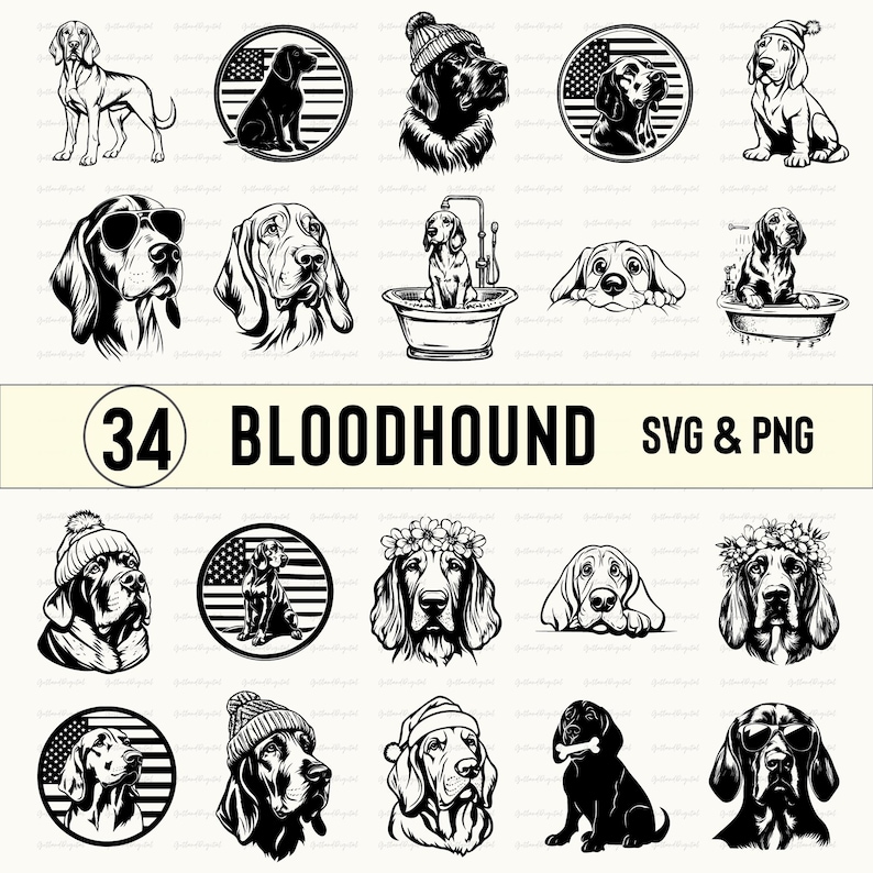 Bloodhound Svg Bundle, Bloodhound Silhouette, Bloodhound Clipart ...