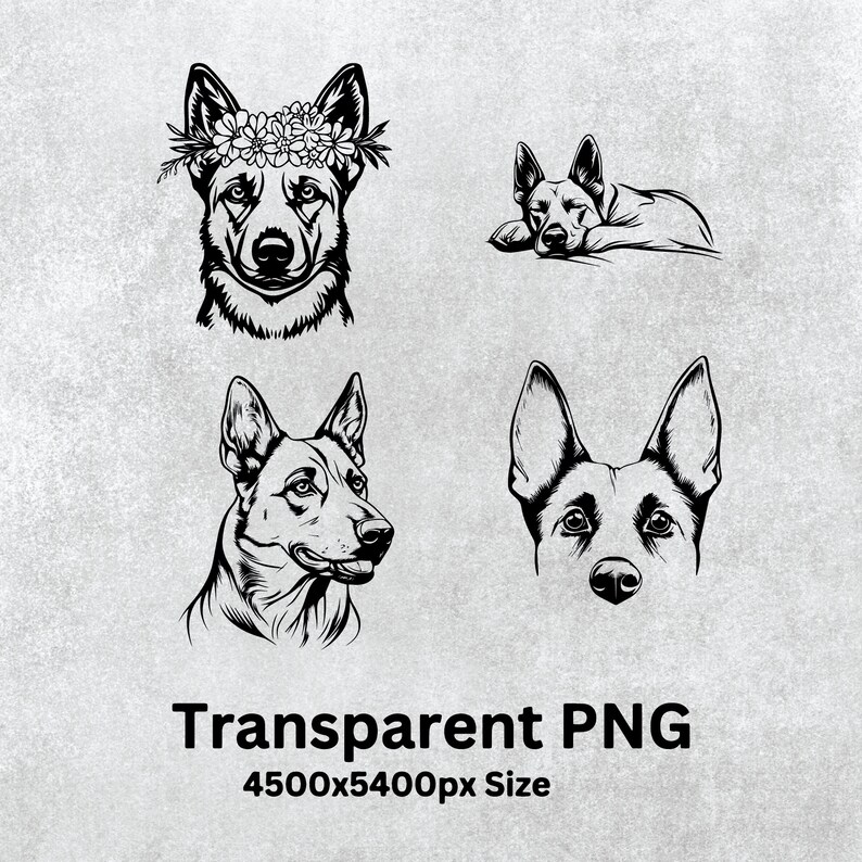 Belgian Malinois SVG Bundle: Dog Silhouette Clipart (PNG, Vector) - Etsy