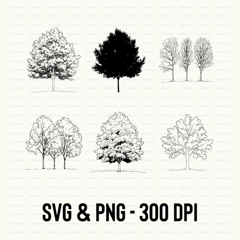 Maple Tree Silhouette: SVG PNG Clipart Vector Cut File - Etsy