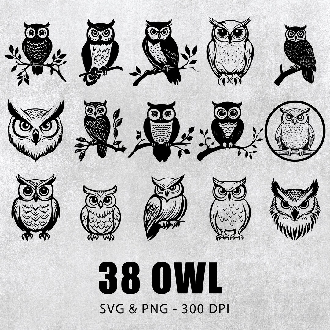 Owl SVG Bundle: Vector Clipart, Decal Designs (PNG, Cricut) - Etsy