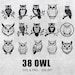 Owl SVG Bundle: Vector Clipart, Decal Designs (PNG, Cricut) - Etsy Canada