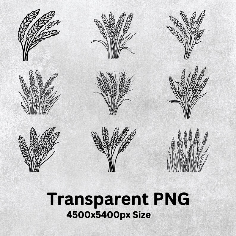 Wheat SVG Bundle: Silhouette Clipart Vector Designs (PNG, Cricut Files ...