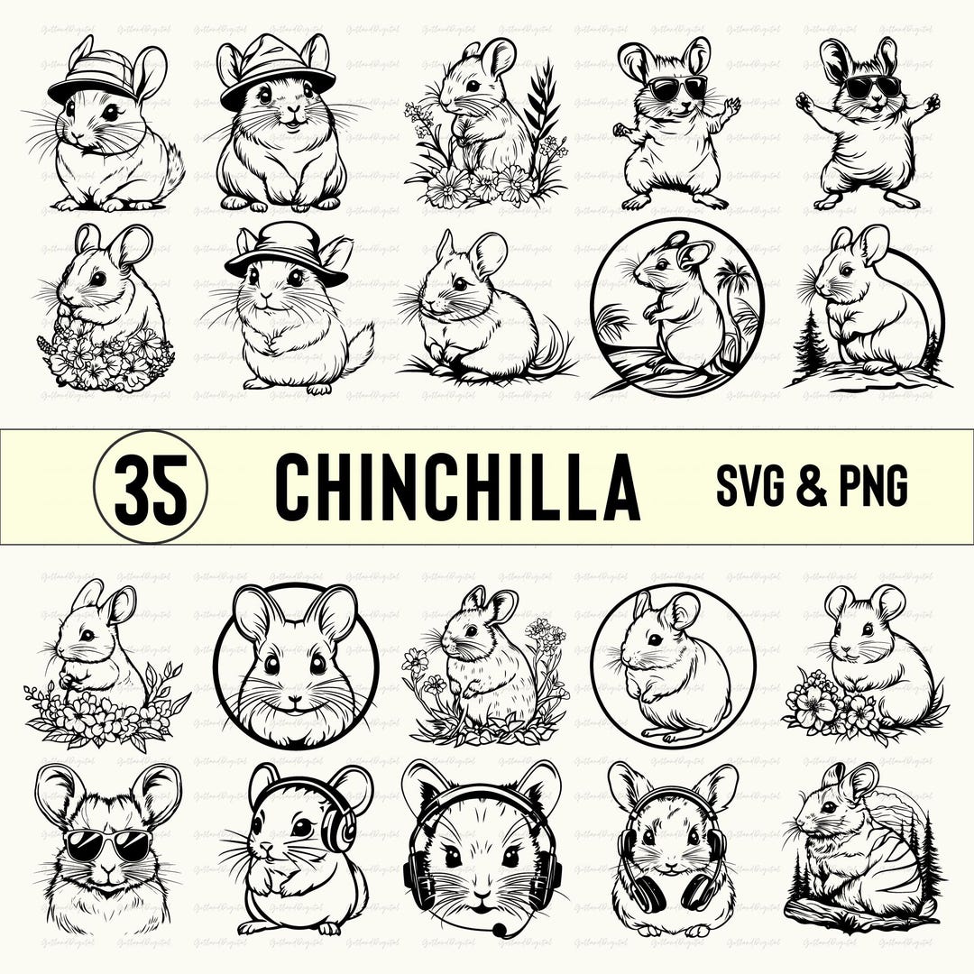 Chinchilla Svg Png, Chinchilla Clipart, Chinchilla Silhouette ...