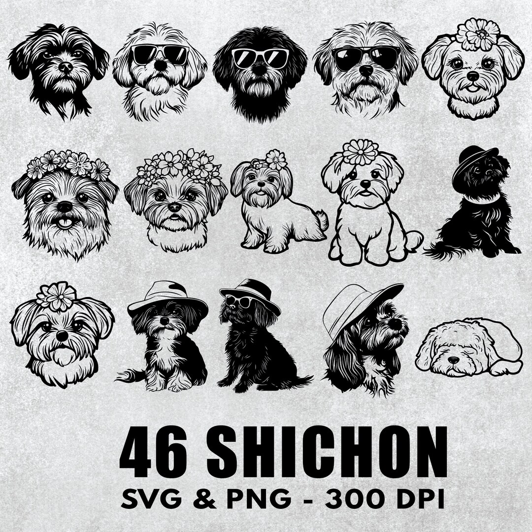 Shichon Svg Bundle, Shichon Silhouette, Shichon Clipart Vector, Shichon ...