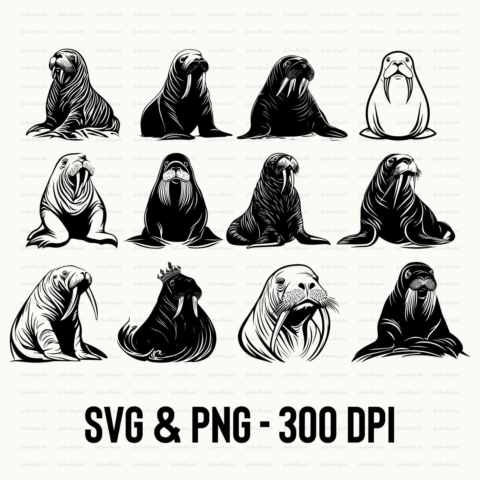 Walrus Svg Bundle, Walrus Silhouette, Walrus Clipart, Walrus Decal ...