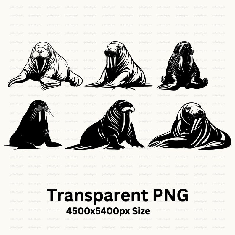 Walrus Svg Bundle, Walrus Silhouette, Walrus Clipart, Walrus Decal ...