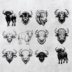 Buffalo Svg Bundle, Buffalo Silhouette, Buffalo Clipart, Buffalo Vector ...