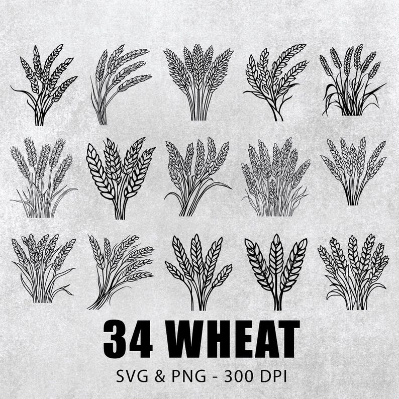 Wheat SVG Bundle: Silhouette Clipart Vector Designs (PNG, Cricut Files ...