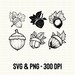 Acorn SVG PNG Bundle: Clipart Silhouette Vector (digital Download) - Etsy