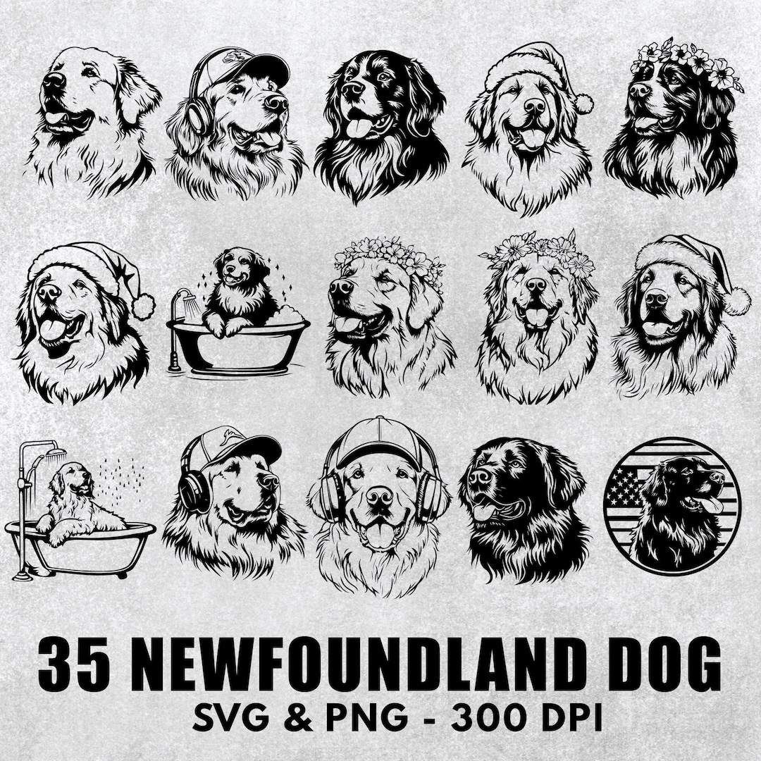 Newfoundland Dog SVG Bundle: Silhouette Clipart, Decal Cut Files - Etsy