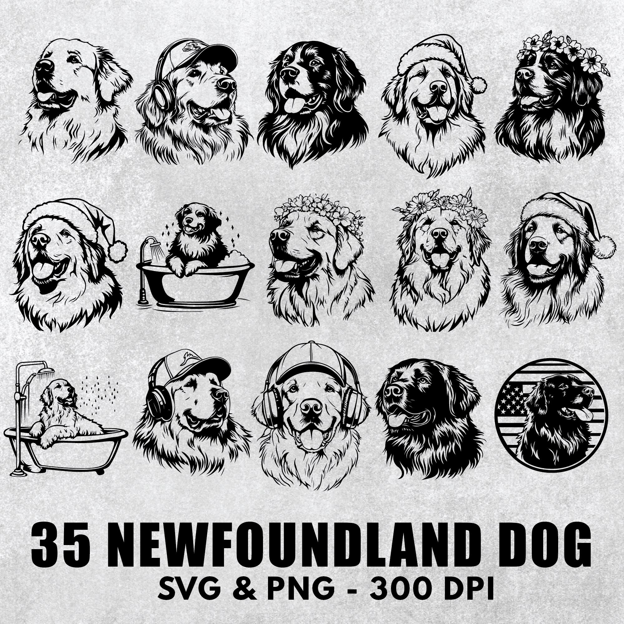 Newfoundland Dog Svg Bundle, Newfoundland Dog Silhouette Png Set ...