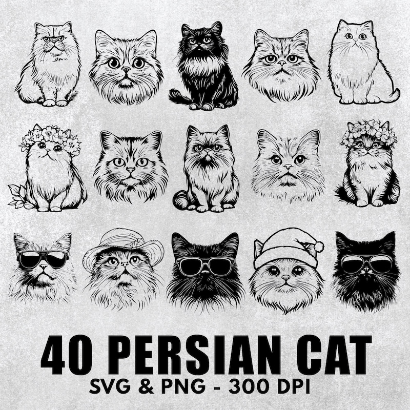 Persian Cat Clipart - Etsy