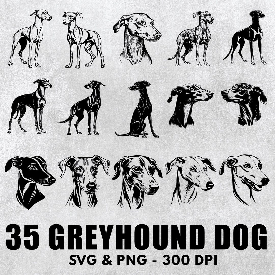 Greyhound Dog Svg Bundle, Greyhound Dog Silhouette, Funny Greyhound ...