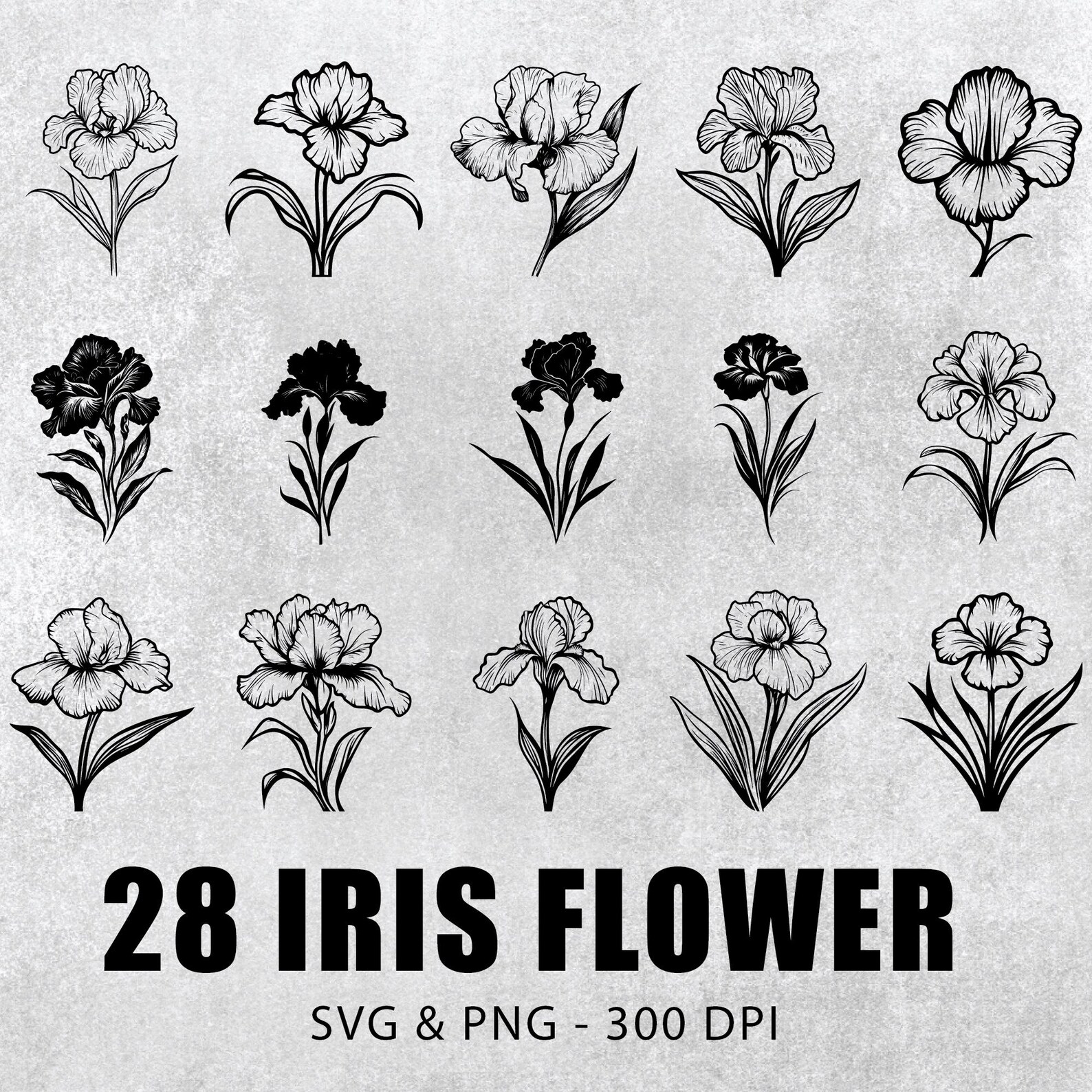 Iris Flower Svg Bundle, Iris Flower Silhouette Set, Iris Flower Clipart, Iris Flower Decal, Iris ...