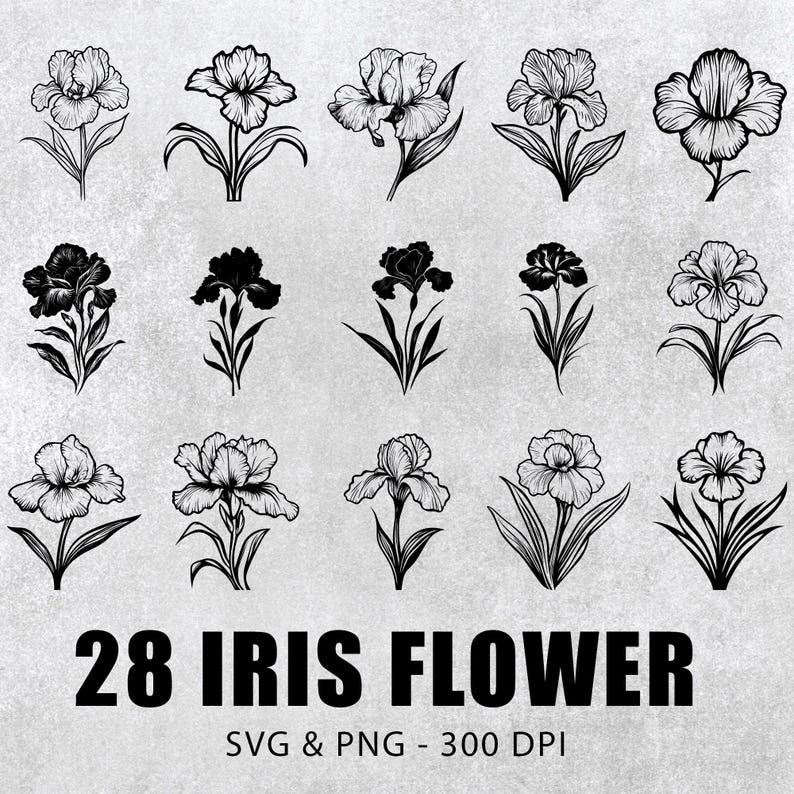Iris Flower Svg Bundle, Iris Flower Silhouette Set, Iris Flower Clipart ...