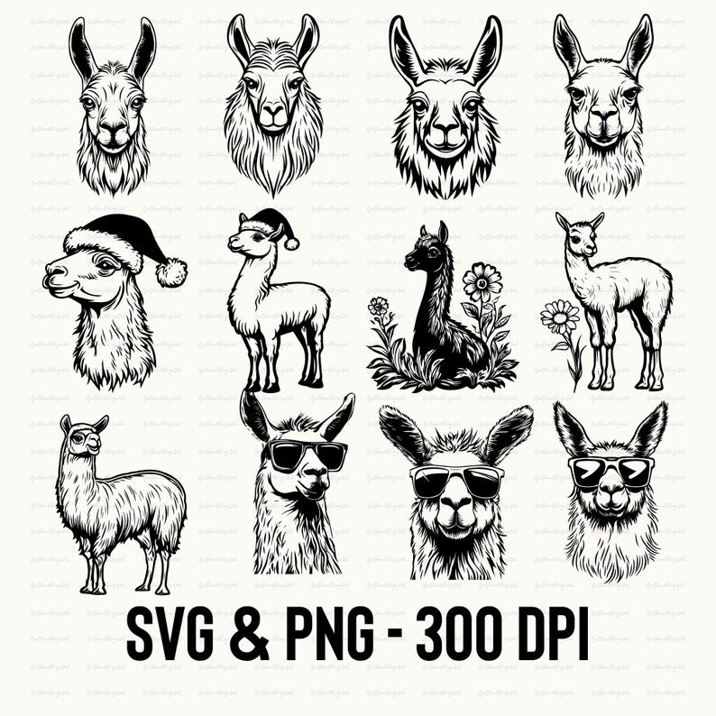 Llama Svg Bundle, Llama Silhouette, Llama Clipart, Llama Vector, Llama ...