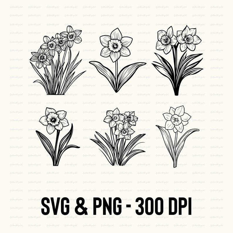 Daffodil SVG PNG Bundle: Floral Clipart, Silhouette Vector (digital ...