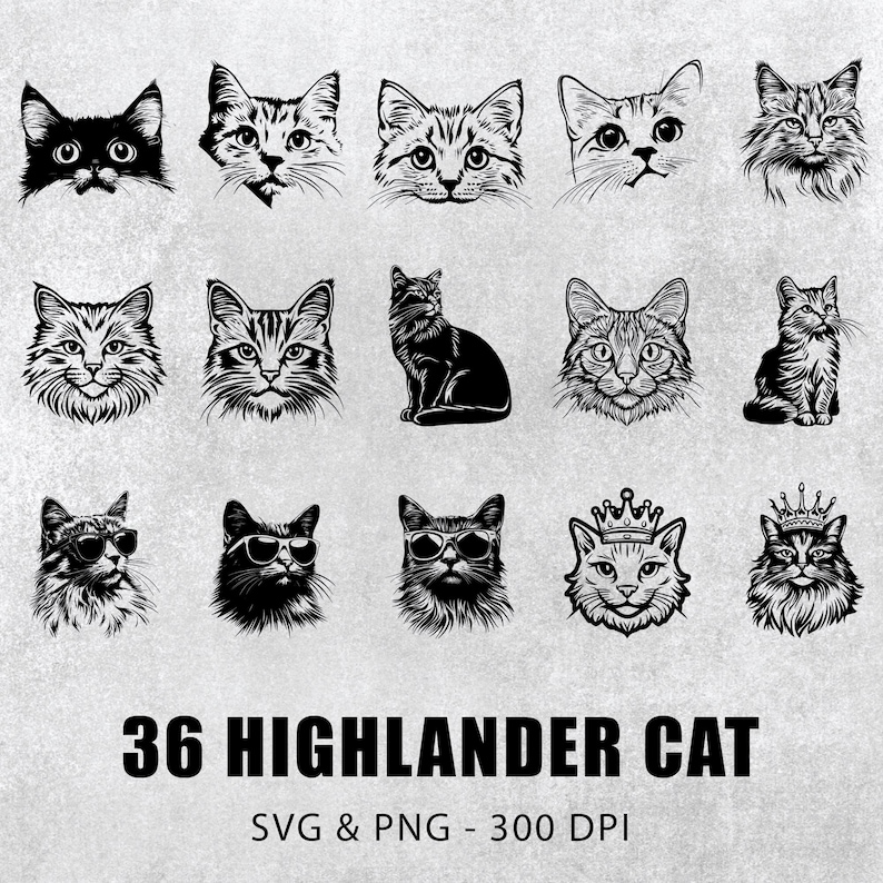 Highlander Cat Svg Bundle, Highlander Cat Silhouette Png, Highlander ...