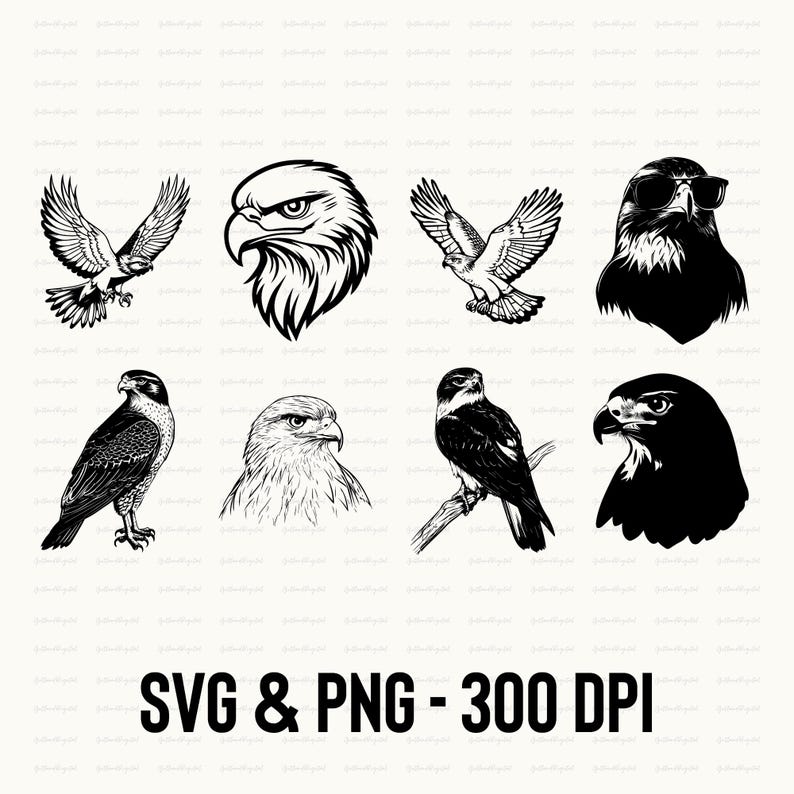 Hawk Svg Bundle, Hawk Silhouette, Hawk Clipart, Hawk Vector, Hawk Decal ...
