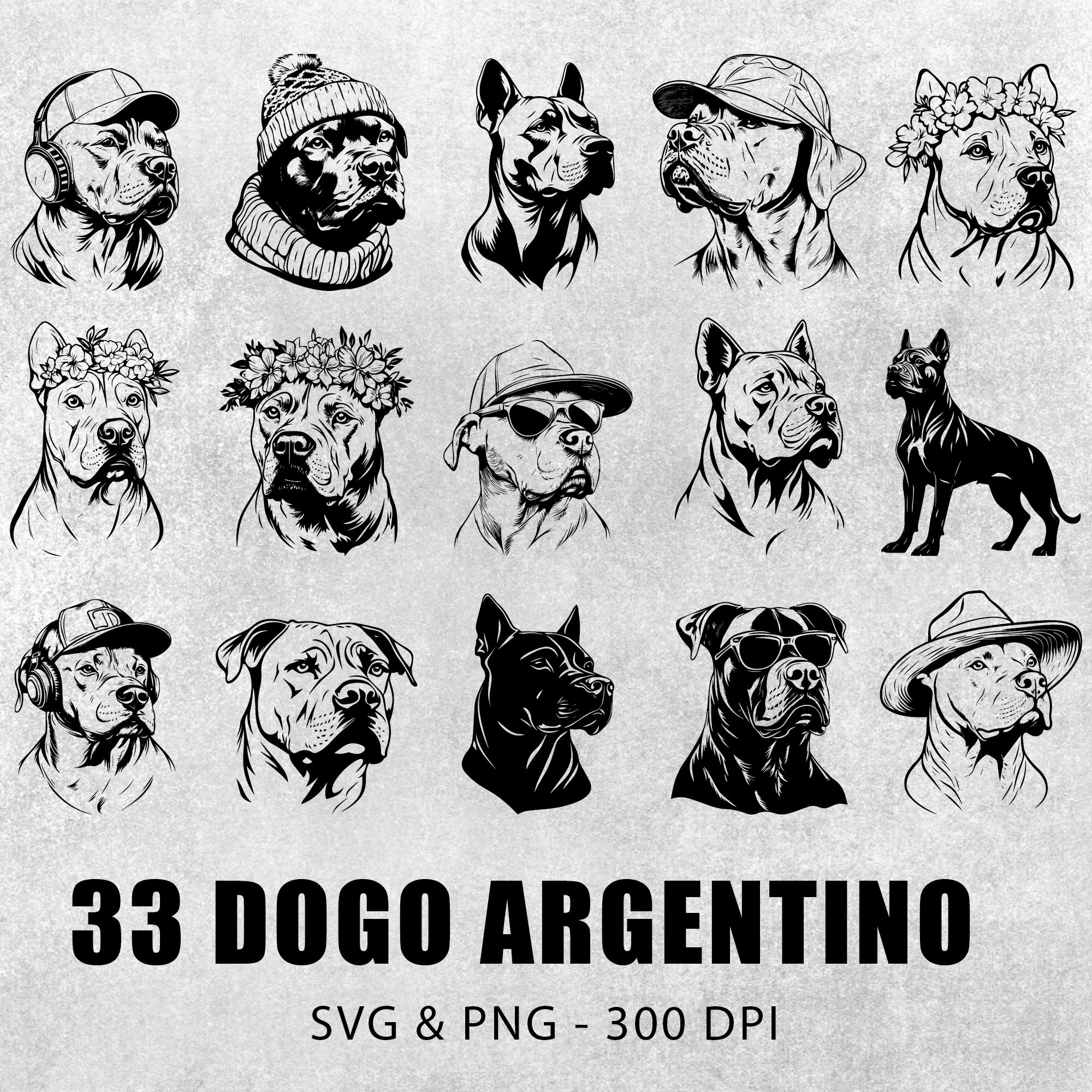 Dogo Argentino Dog Svg Bundle, Dogo Argentino Silhouette Png, Dogo ...