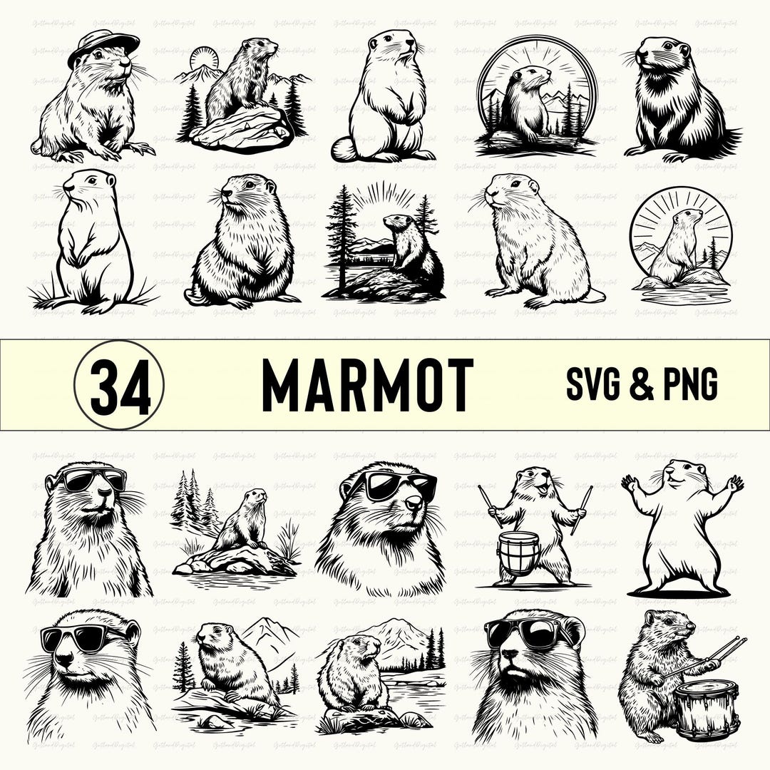 Marmot Svg Png, Marmot Clipart, Marmot Silhouette, Marmot Vector Art ...