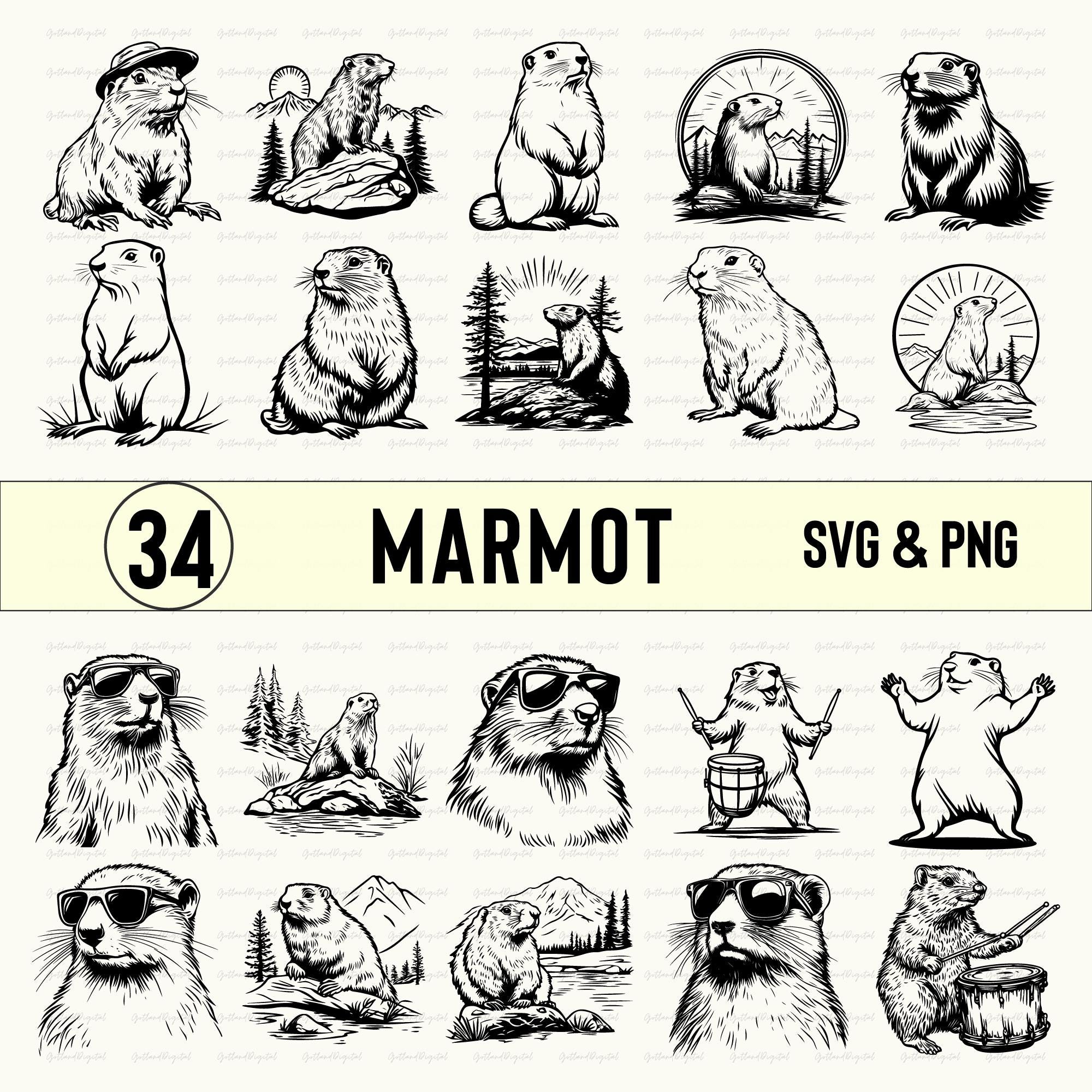 Marmot Svg Png, Marmot Clipart, Marmot Silhouette, Marmot Vector Art ...